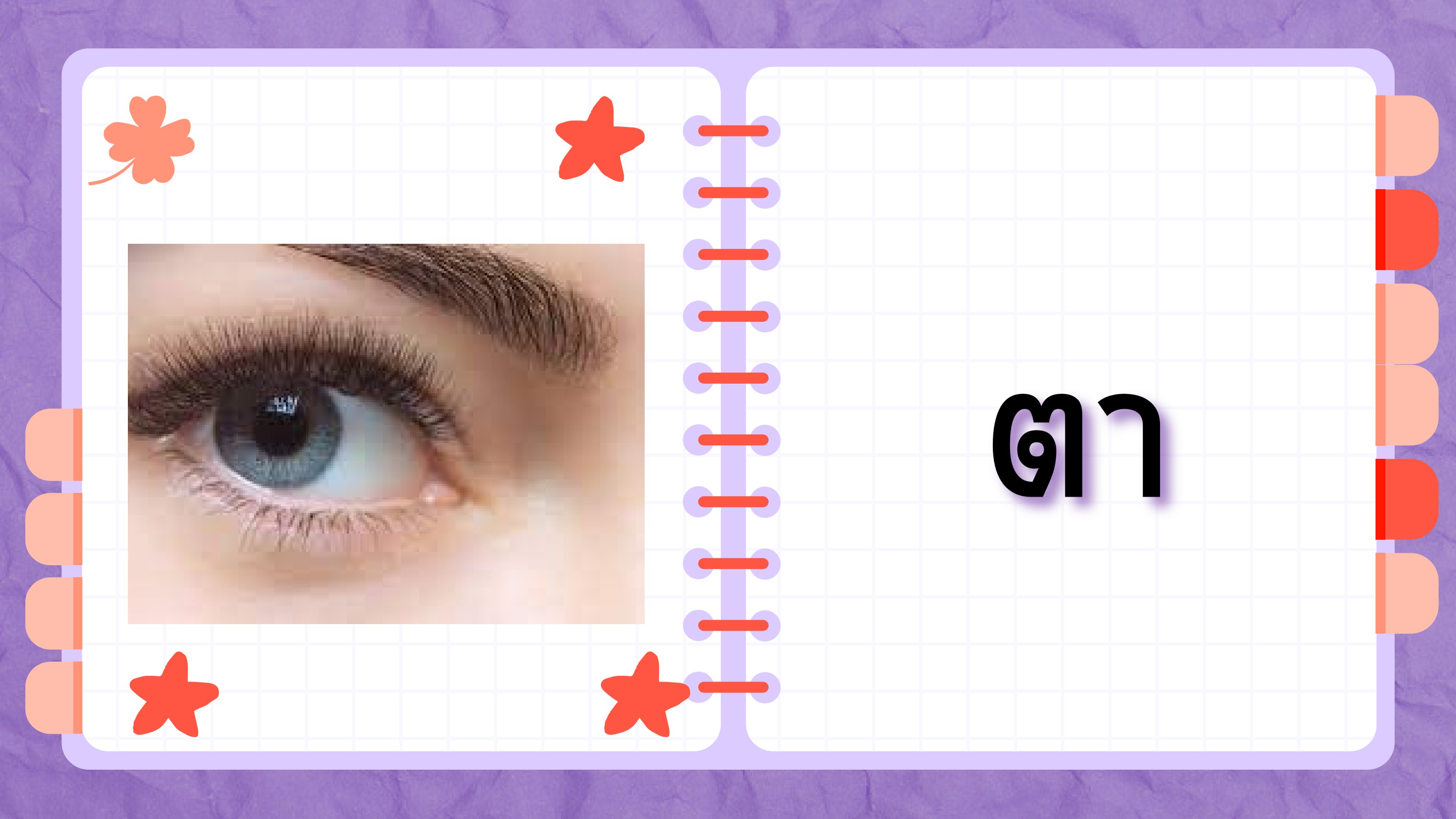 สื่อบัญชีคำพื้นฐาน ชั้นอนุบาล - kru_ploy - หน้าหนังสือ 11 | พลิก PDF ออนไลน์ | PubHTML5