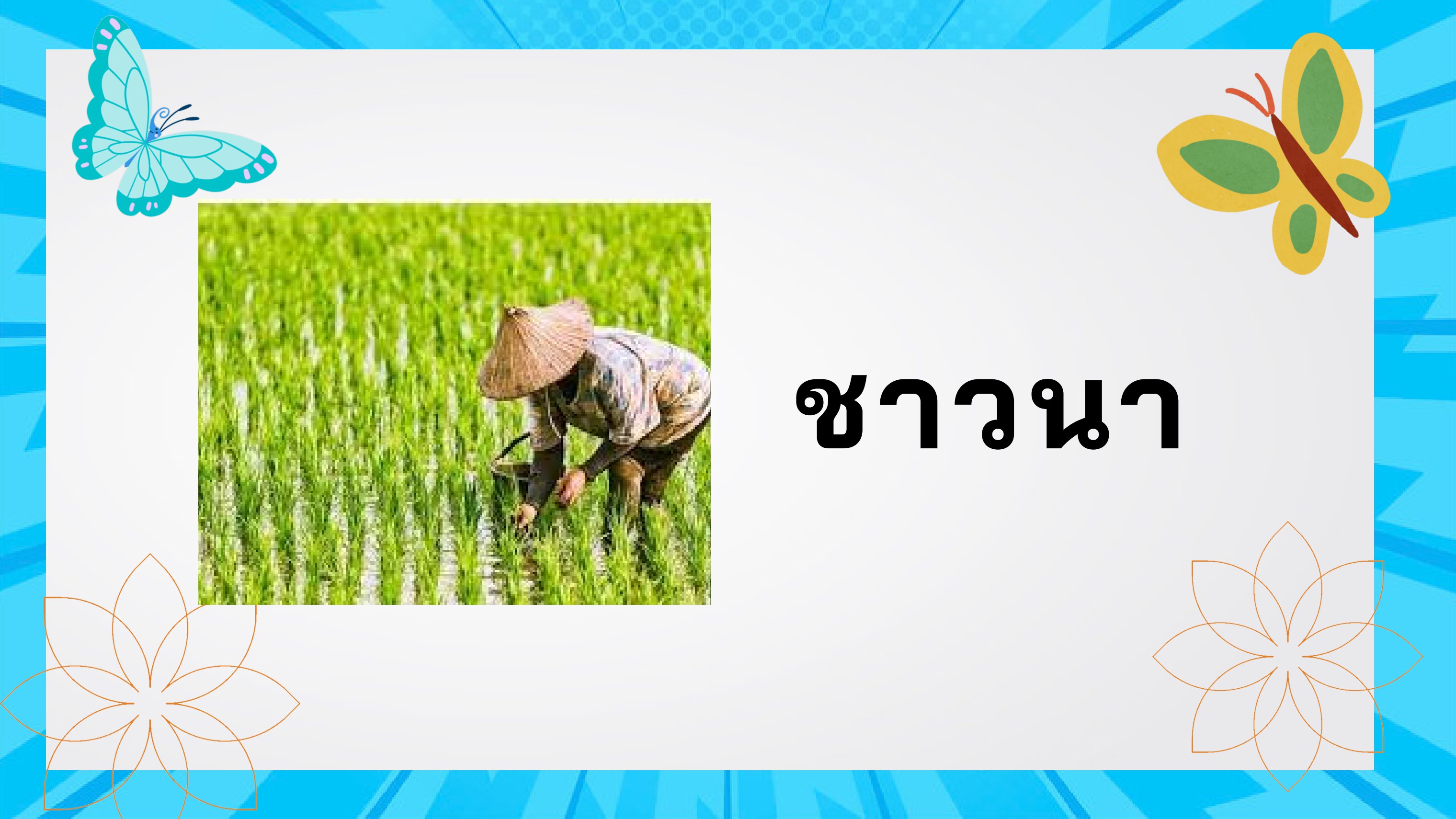 สื่อบัญชีคำพื้นฐาน ชั้นอนุบาล - kru_ploy - หน้าหนังสือ 43 | พลิก PDF ออนไลน์ | PubHTML5