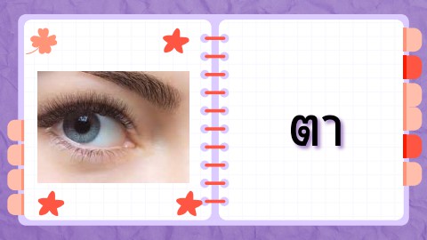 สื่อบัญชีคำพื้นฐาน ชั้นอนุบาล - kru_ploy - หน้าหนังสือ 11 | พลิก PDF ออนไลน์ | PubHTML5