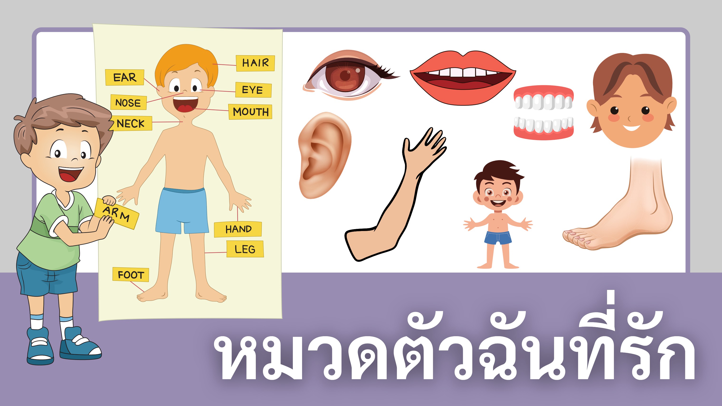 บัญชีคำพื้นฐาน ระดับชั้นอนุบาล ปีที่3 - kru_ploy - หน้าหนังสือ 4 | พลิก PDF ออนไลน์ | PubHTML5