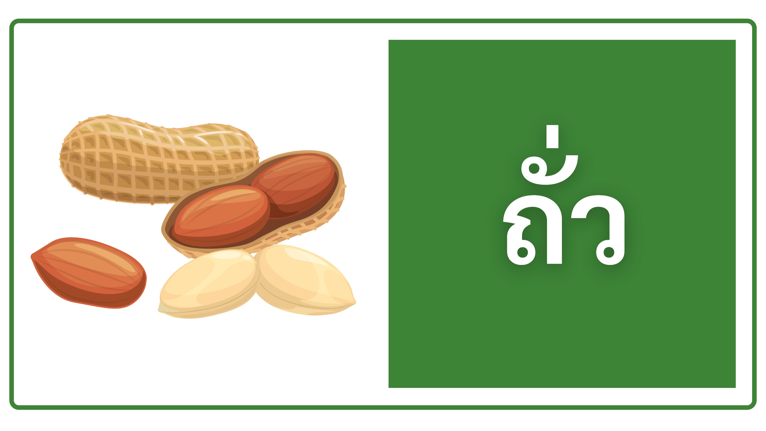 บัญชีคำพื้นฐาน ระดับชั้นอนุบาล ปีที่3 - kru_ploy - หน้าหนังสือ 49 | พลิก PDF ออนไลน์ | PubHTML5