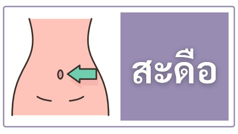 บัญชีคำพื้นฐาน ระดับชั้นอนุบาล ปีที่3 - kru_ploy - หน้าหนังสือ 18 | พลิก PDF ออนไลน์ | PubHTML5