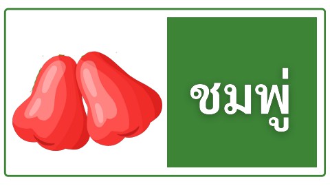 บัญชีคำพื้นฐาน ระดับชั้นอนุบาล ปีที่3 - kru_ploy - หน้าหนังสือ 47 | พลิก PDF ออนไลน์ | PubHTML5