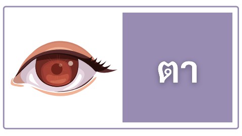 บัญชีคำพื้นฐาน ระดับชั้นอนุบาล ปีที่3 - kru_ploy - หน้าหนังสือ 10 | พลิก PDF ออนไลน์ | PubHTML5