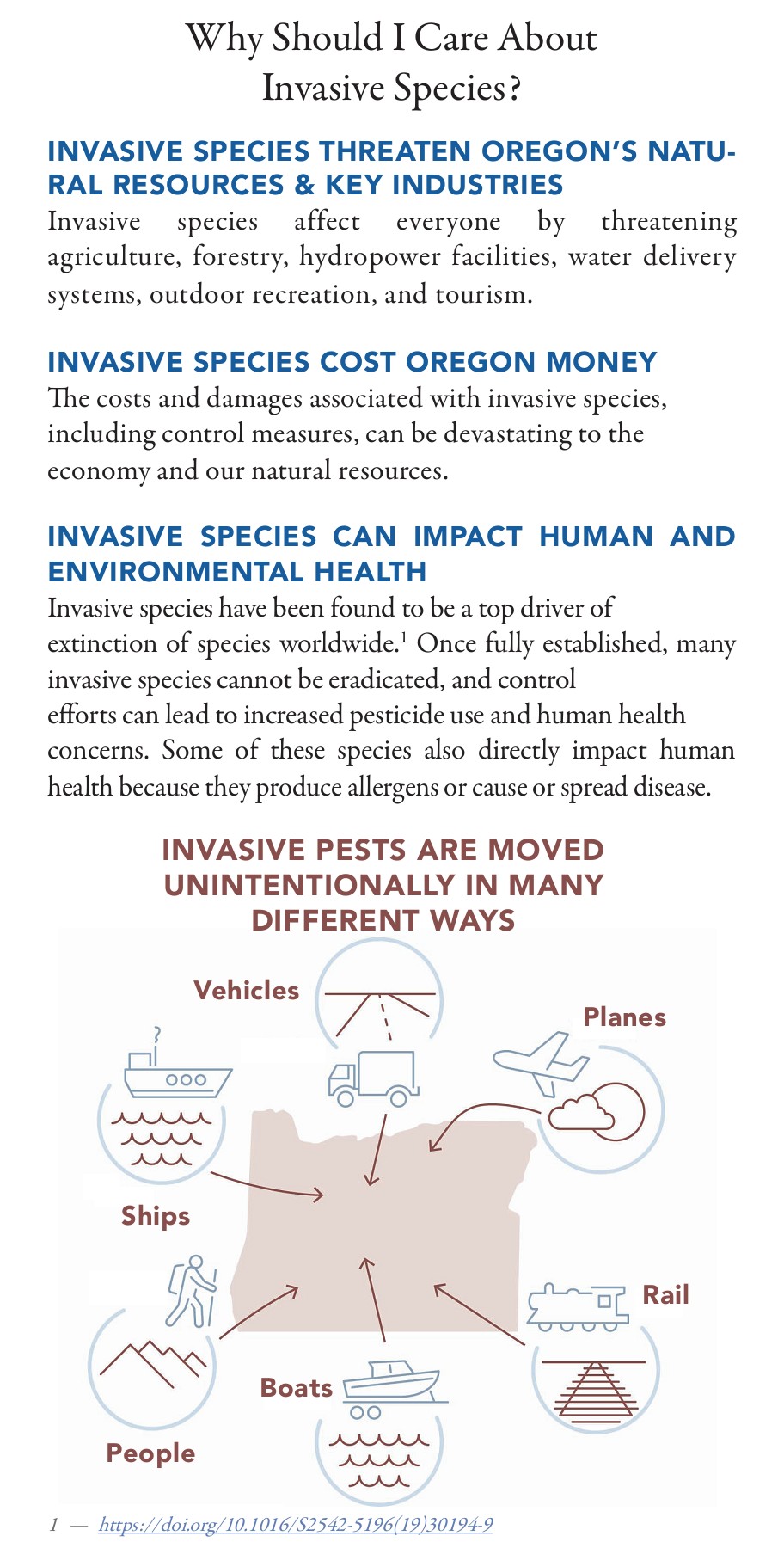 OISC Brochure - Digital Viewer - team - Page 3 | Flip PDF Online | PubHTML5