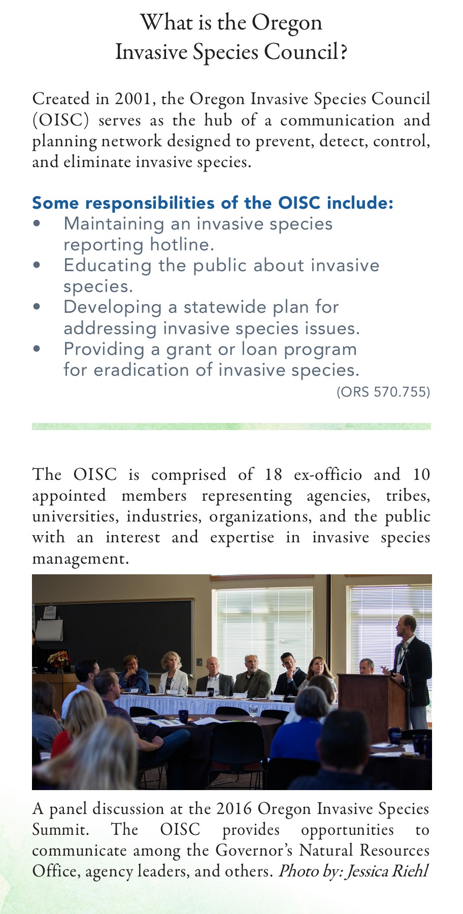 OISC Brochure - Digital Viewer - team - Page 4 | Flip PDF Online | PubHTML5