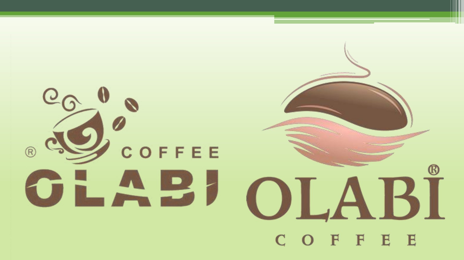 Olabi Catalog - Omar Touma - Page 2 | Flip PDF Online | PubHTML5