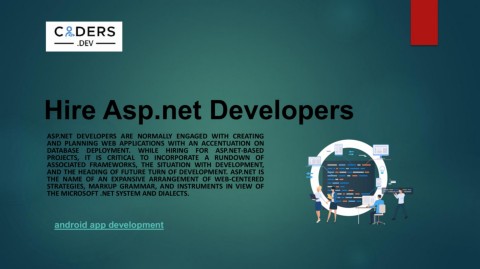 Hire Asp.net Developers