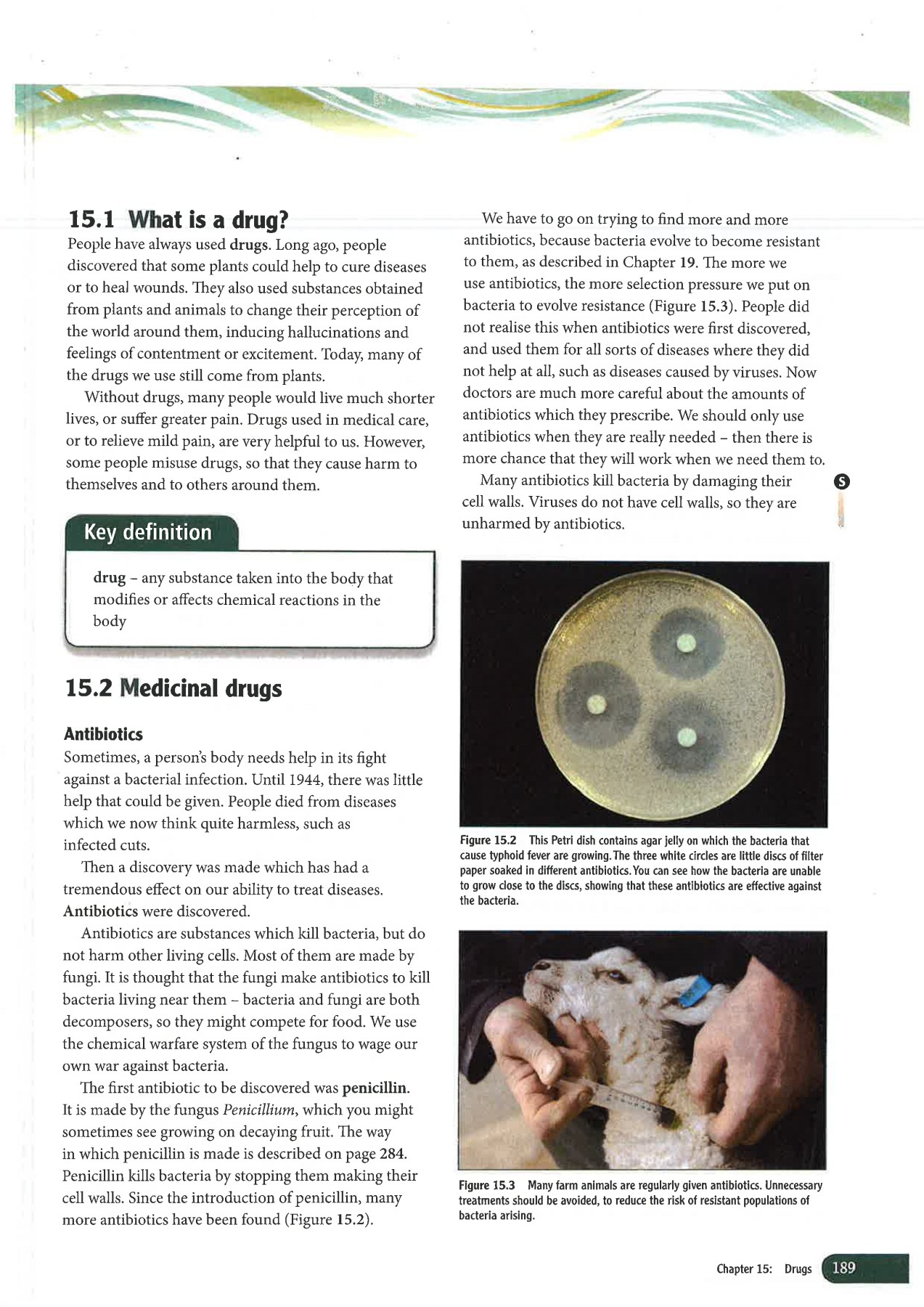 Biology Coursebook - montserrat26batista - Page 193 | Flip PDF Online ...
