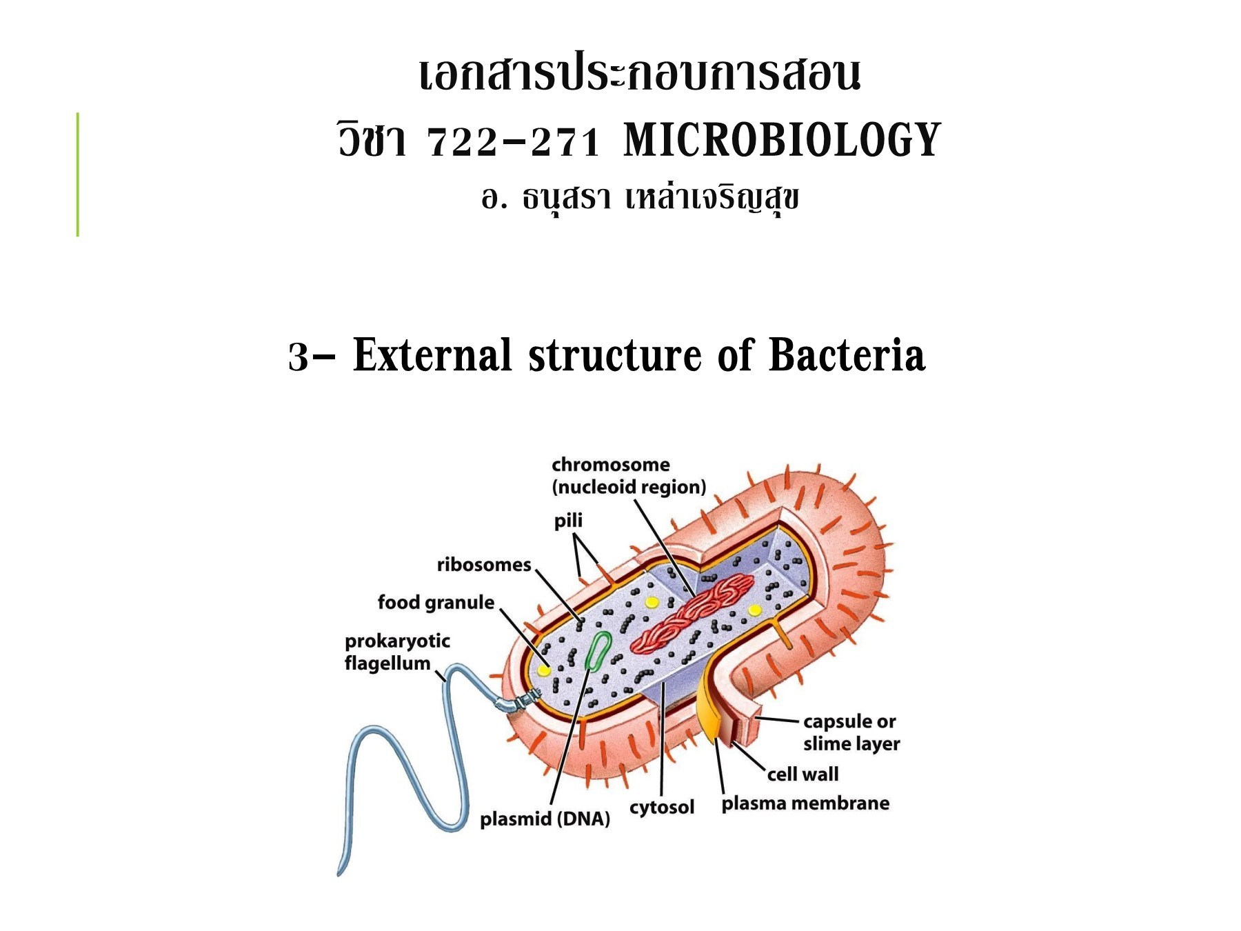 3-External structure-61นศ OR Code-Sheet - tanussara.l - หน้าหนังสือ 1 ...