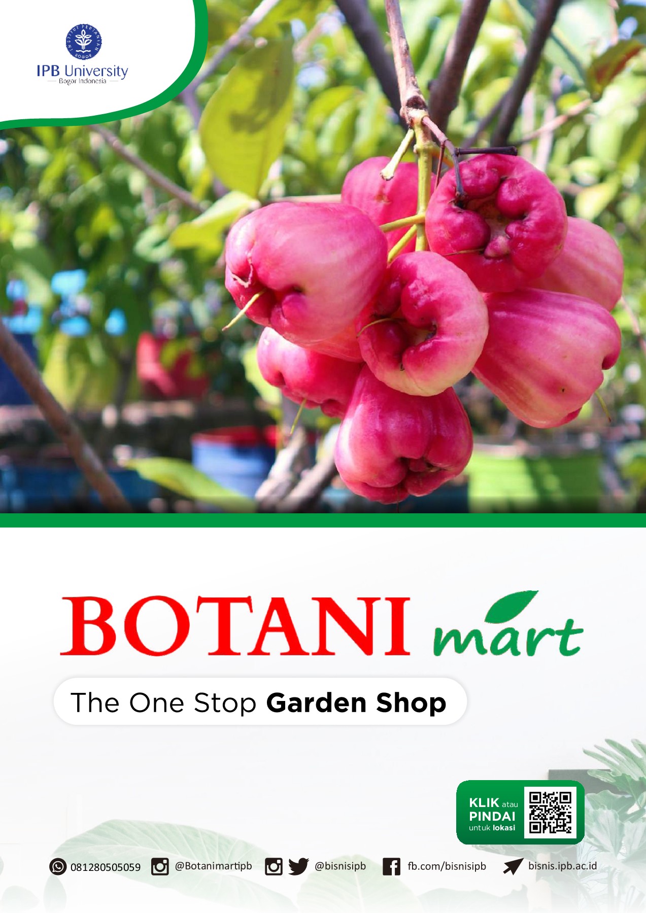 Katalog Produk Bisnis IPB - M. Kholili Ipb - Page 60 | Flip PDF Online ...