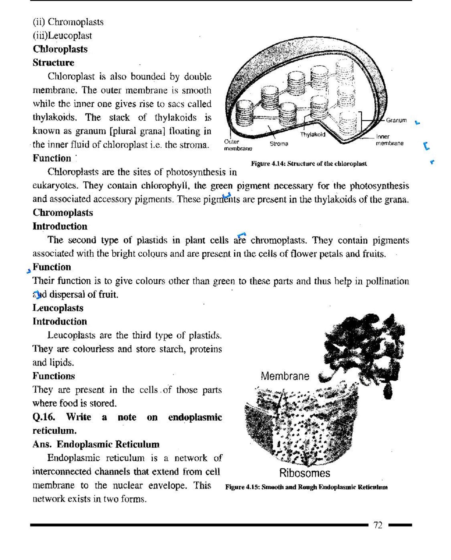 Class 9 Biology Notes - haseebshafiq28 - Page 72 | Flip PDF Online ...