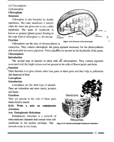 Class 9 Biology Notes - haseebshafiq28 - Page 72 | Flip PDF Online ...