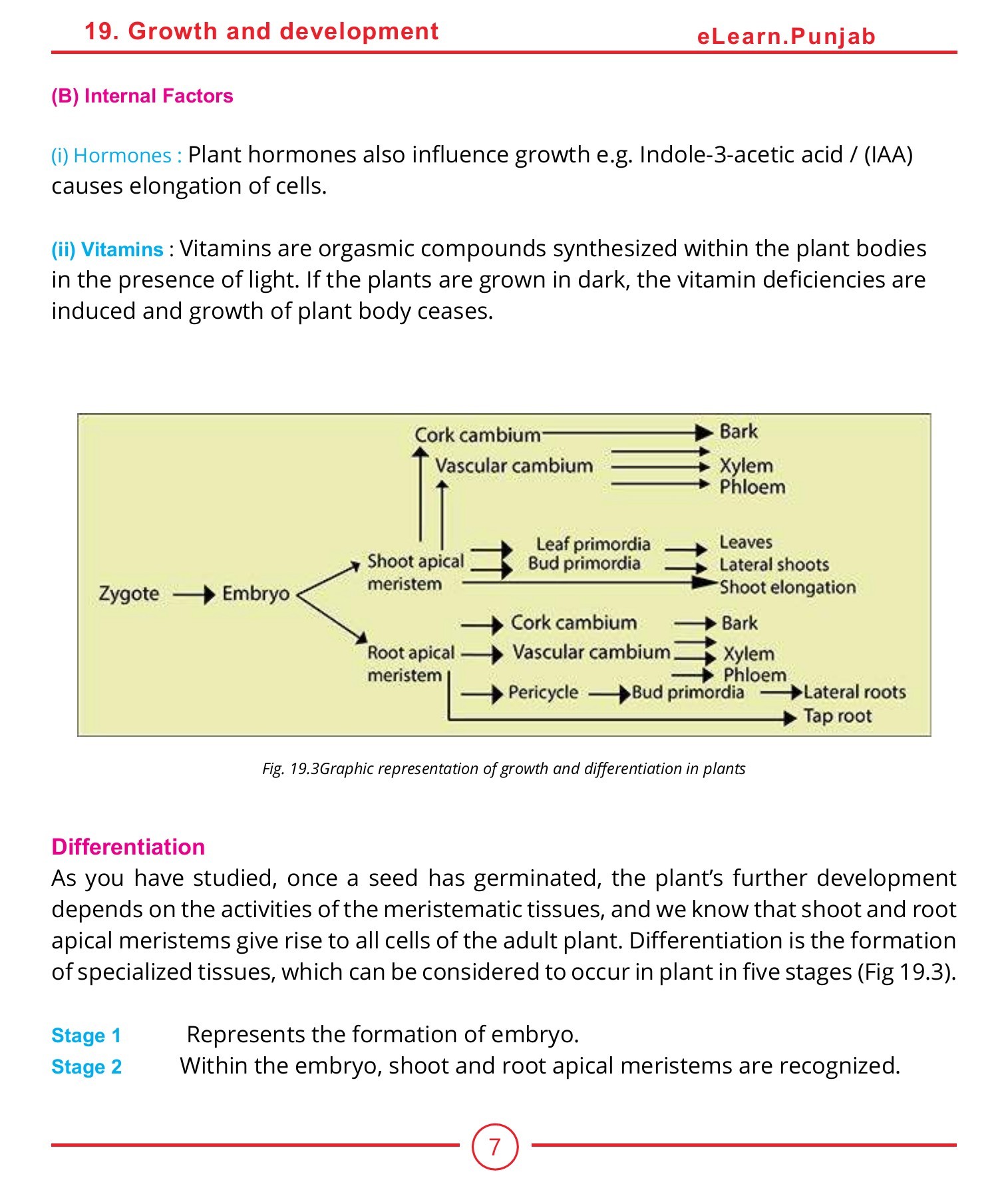 2018-G12-Biology-E - haseebshafiq28 - Page 165 | Flip PDF Online | PubHTML5