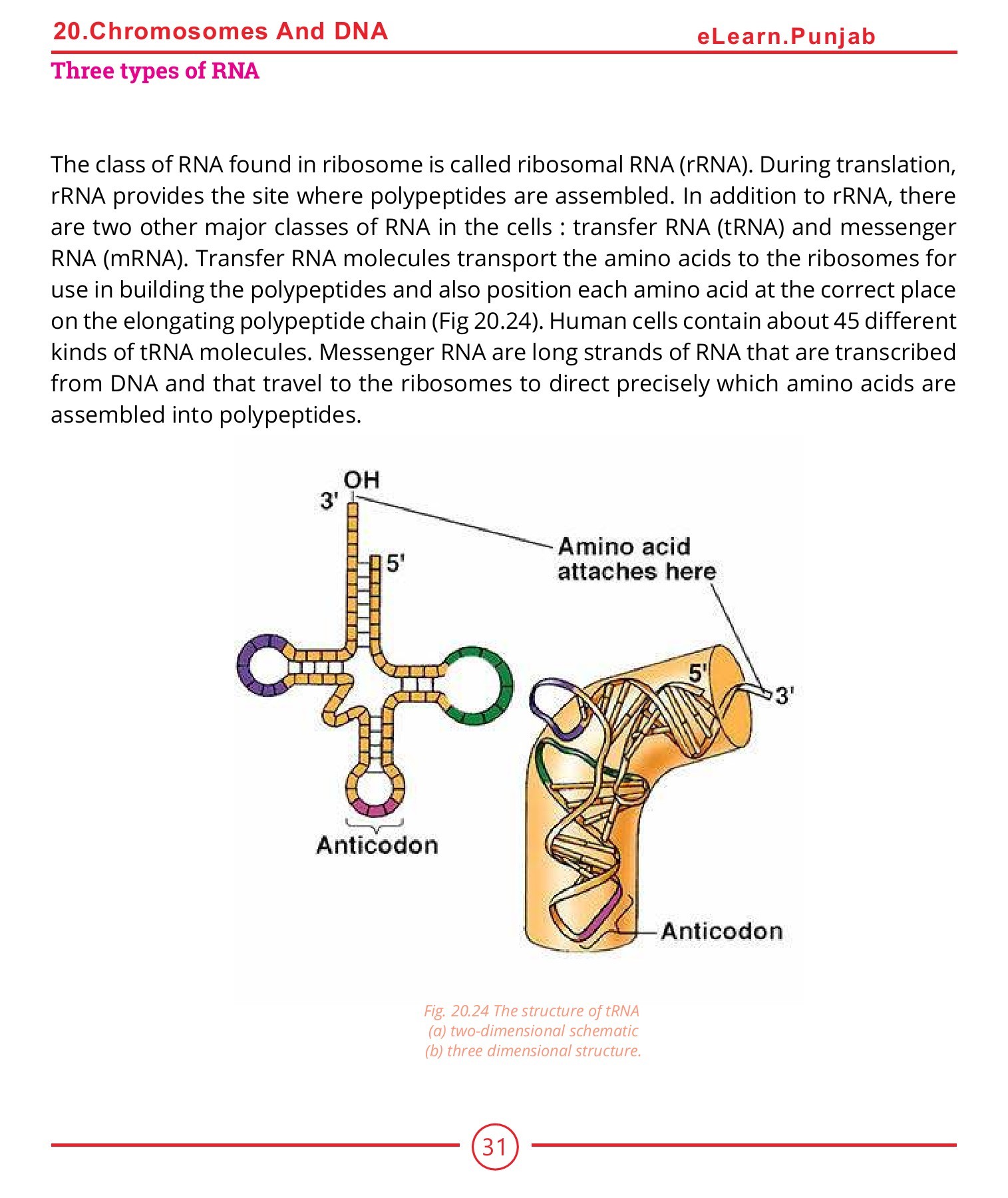 2018-G12-Biology-E - haseebshafiq28 - Page 217 | Flip PDF Online | PubHTML5