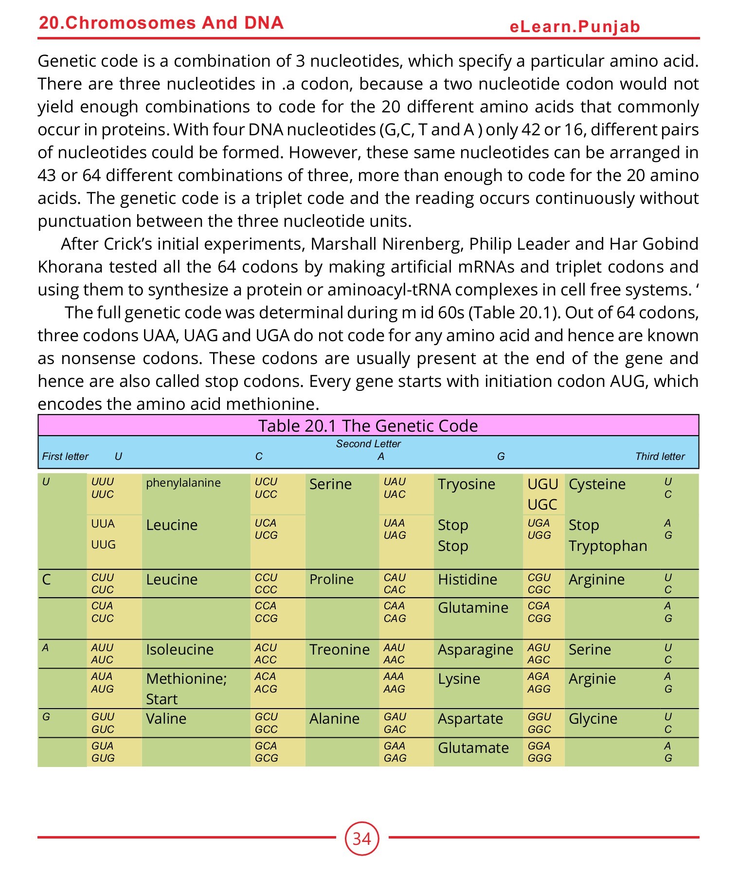 2018-G12-Biology-E - haseebshafiq28 - Page 220 | Flip PDF Online | PubHTML5