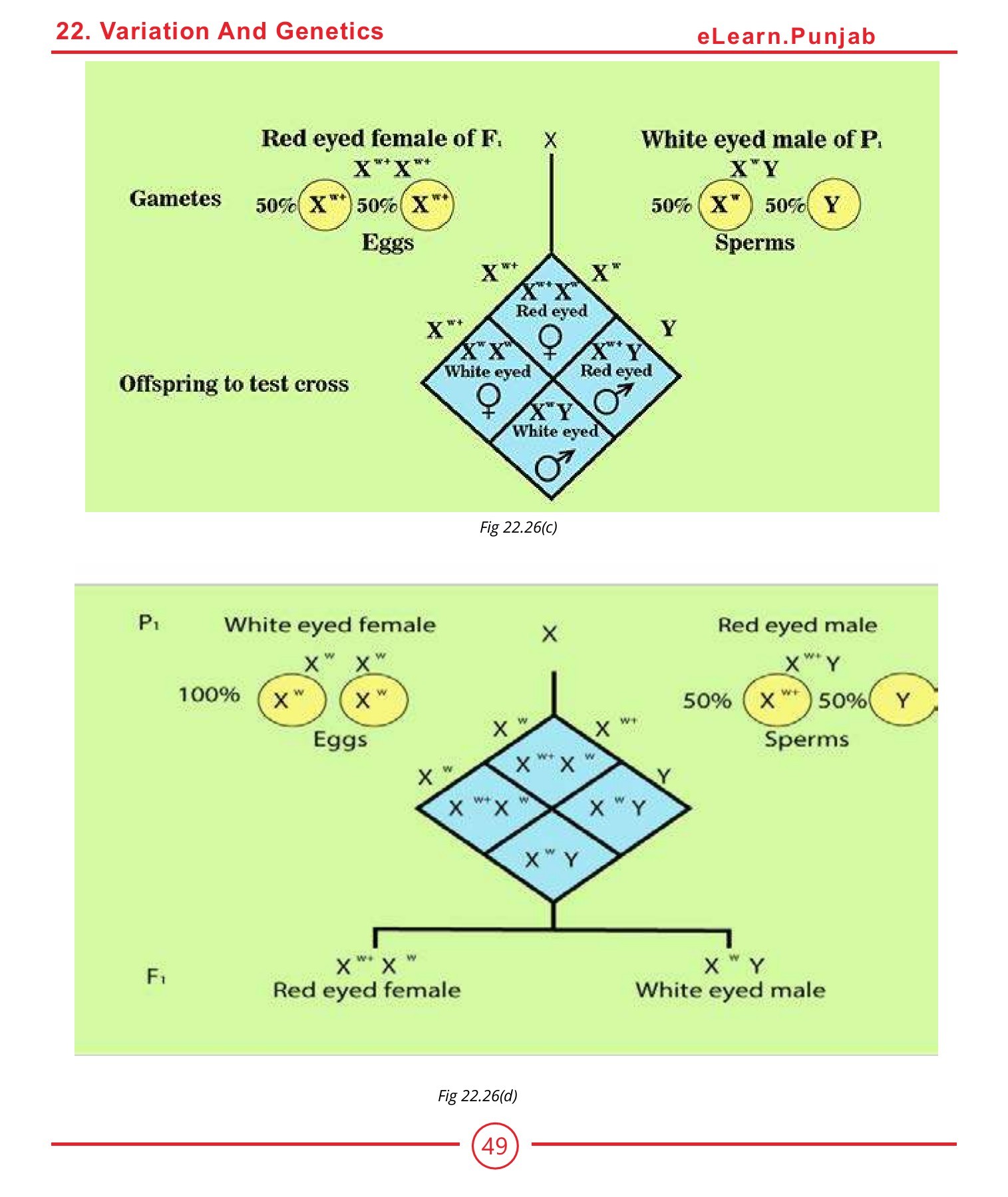 2018-G12-Biology-E - haseebshafiq28 - Page 296 | Flip PDF Online | PubHTML5