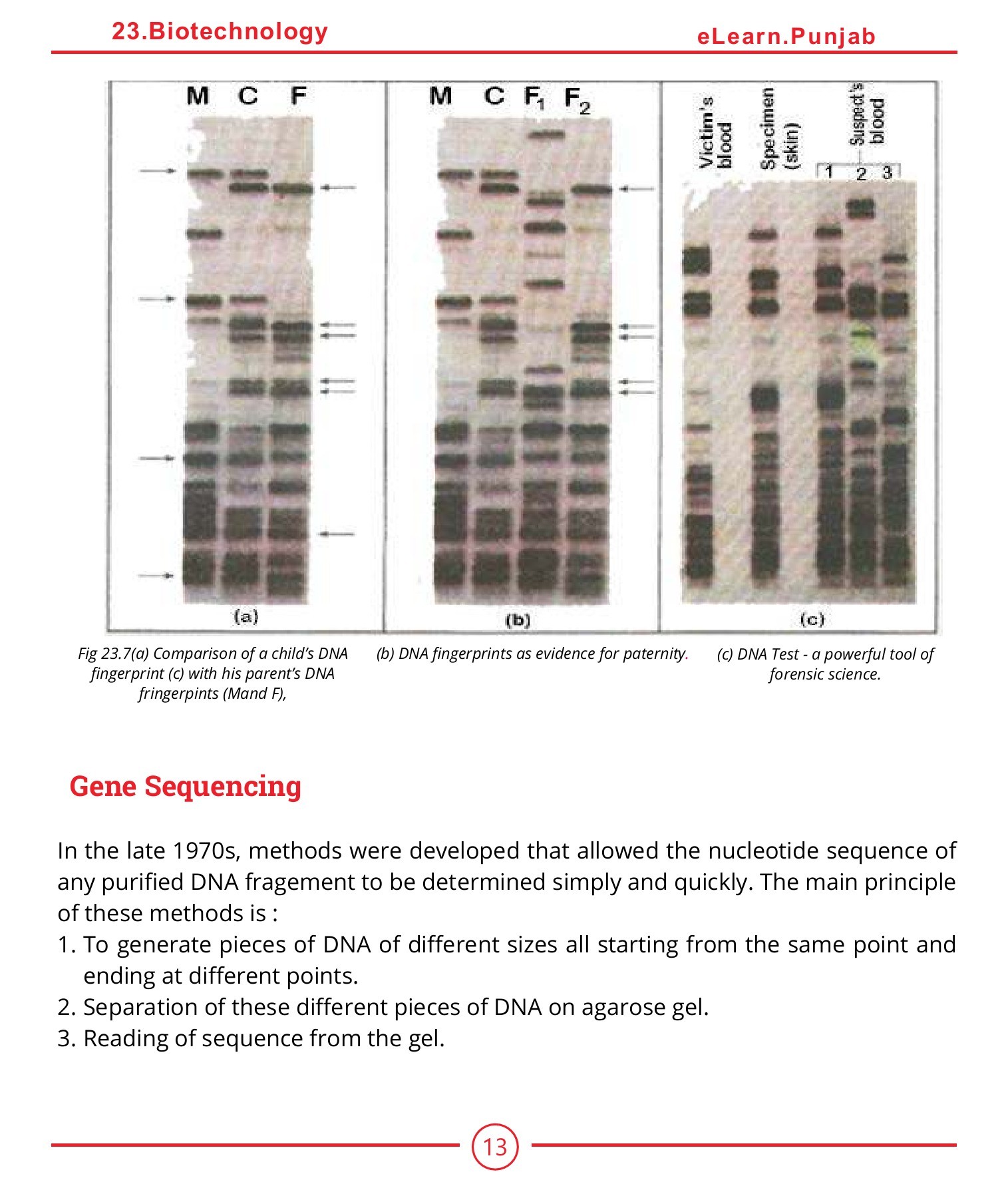 2018-G12-Biology-E - haseebshafiq28 - Page 321 | Flip PDF Online | PubHTML5