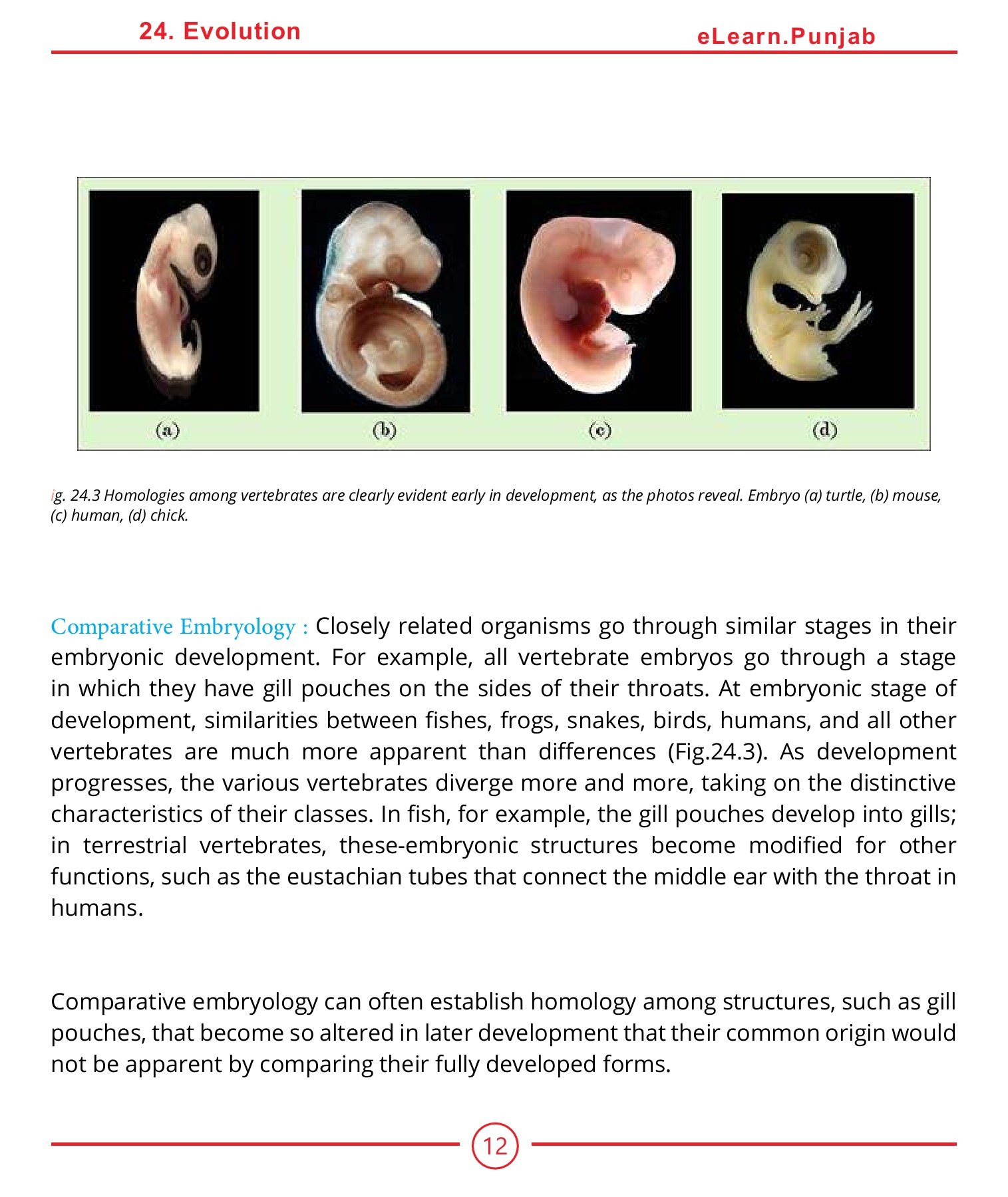2018-G12-Biology-E - haseebshafiq28 - Page 352 | Flip PDF Online | PubHTML5