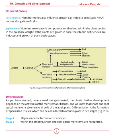 2018-G12-Biology-E - haseebshafiq28 - Page 165 | Flip PDF Online | PubHTML5