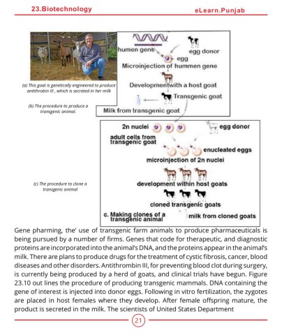 2018-G12-Biology-E - haseebshafiq28 - Page 329 | Flip PDF Online | PubHTML5