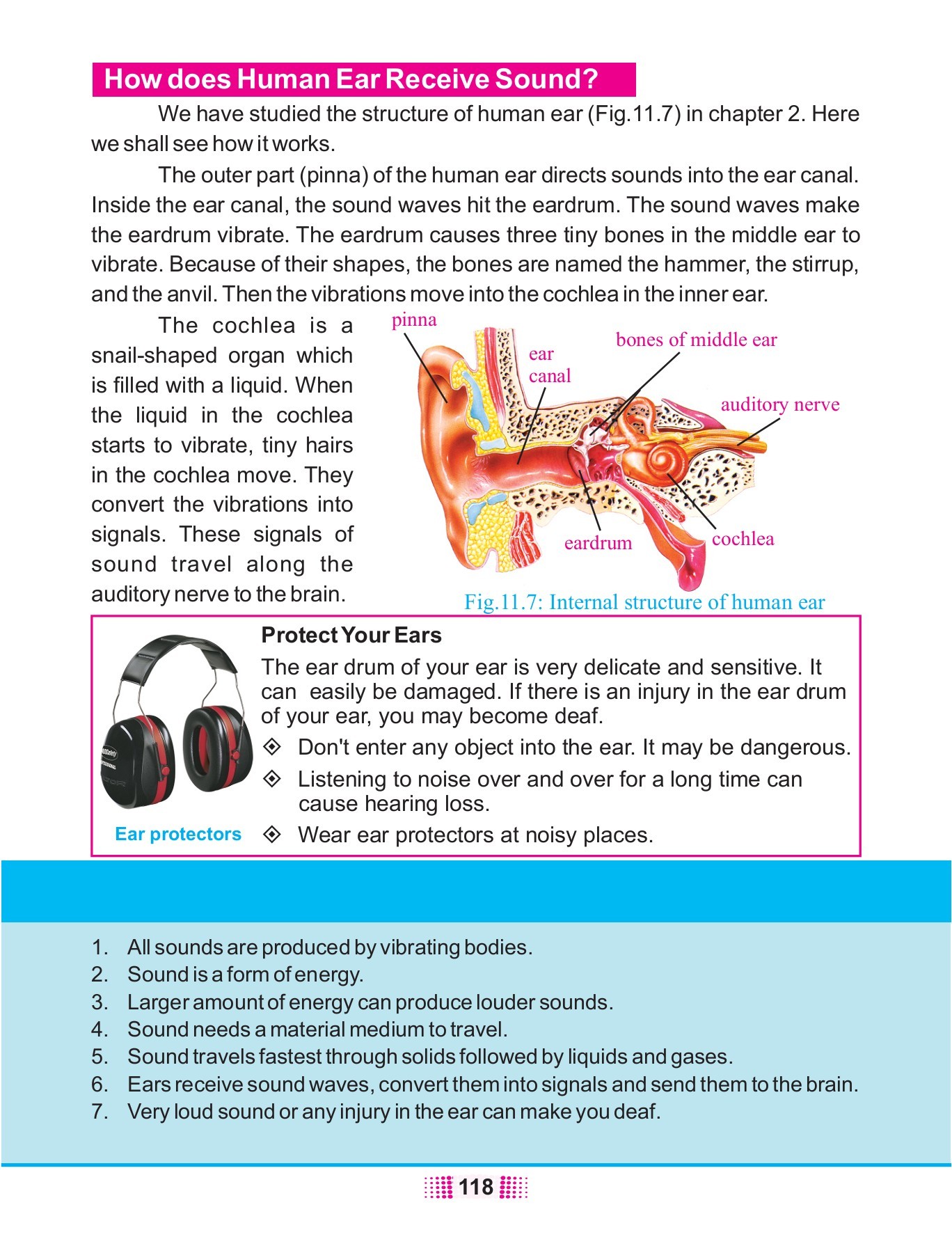 Science 6 - haseebshafiq28 - Page 116 | Flip PDF Online | PubHTML5