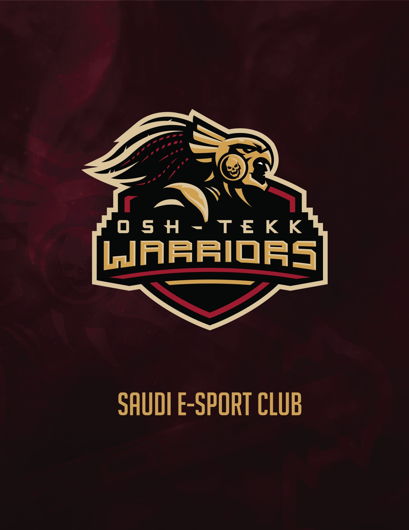 Osh-Tekk Warriors Portfolio ENG - SRAB - Page 1 - 28 | Flip PDF Online ...