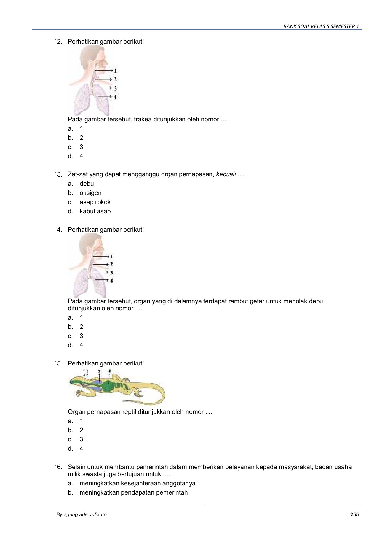 BANK SOAL KELAS 5 NUNING - Nuning Ermi - Halaman 256 | PDF Online ...