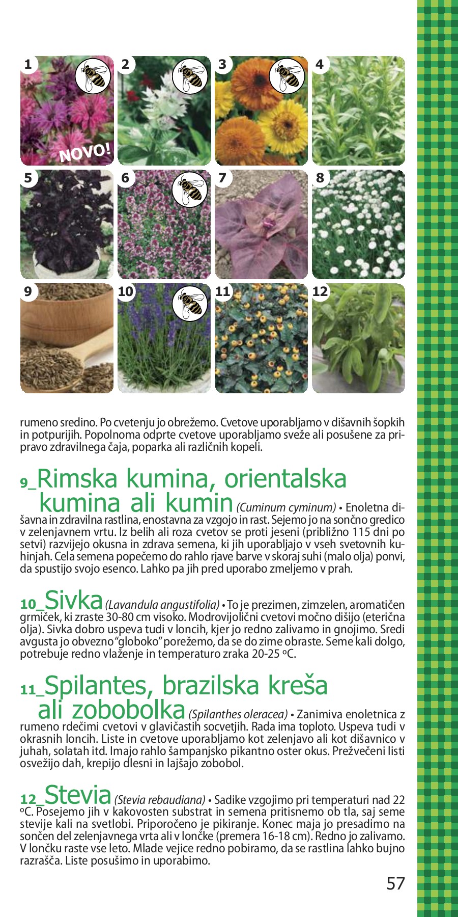 semina katalog 2023 - bostjan.bencic - Strani 57 | Obračanje strani na ...