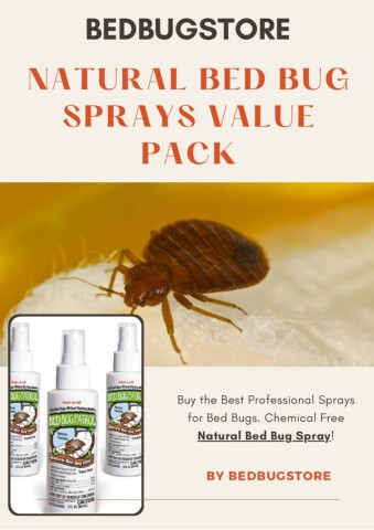 Buy Natural Bed Bug Killer Spray Packs - Bedbugstore