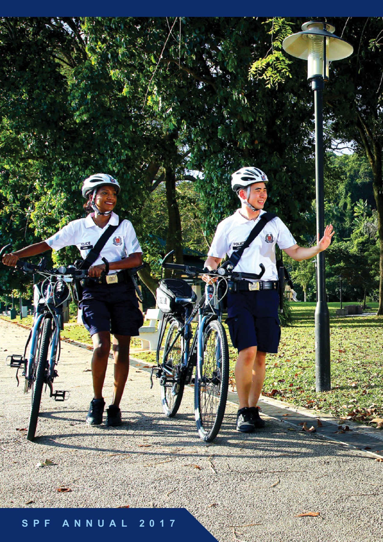 SPF Annual Report 2017 - nikki - Page 40 | Flip PDF Online | PubHTML5