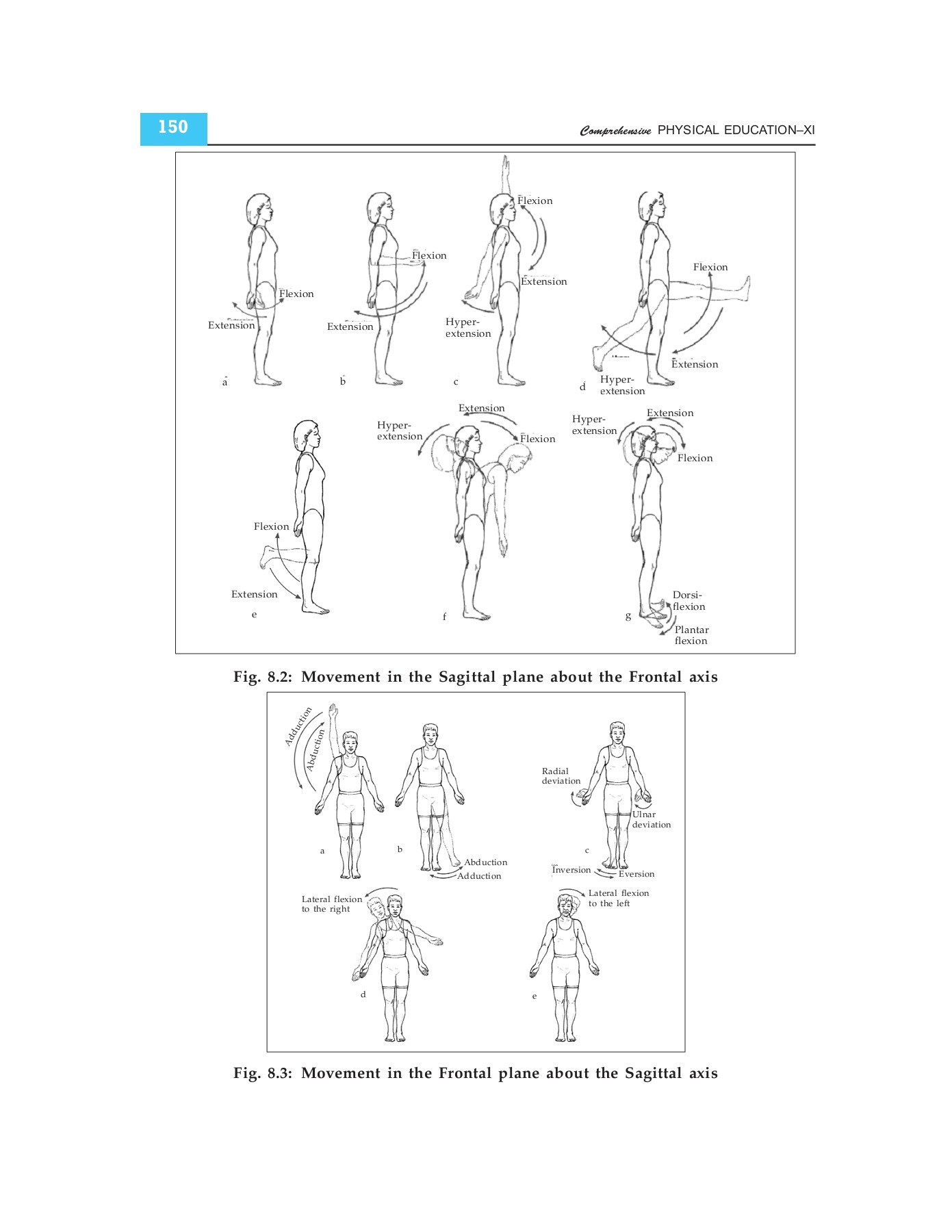 Comprehensive Physical Education-XI - Laxmi Publications (LP) - Page 79 ...
