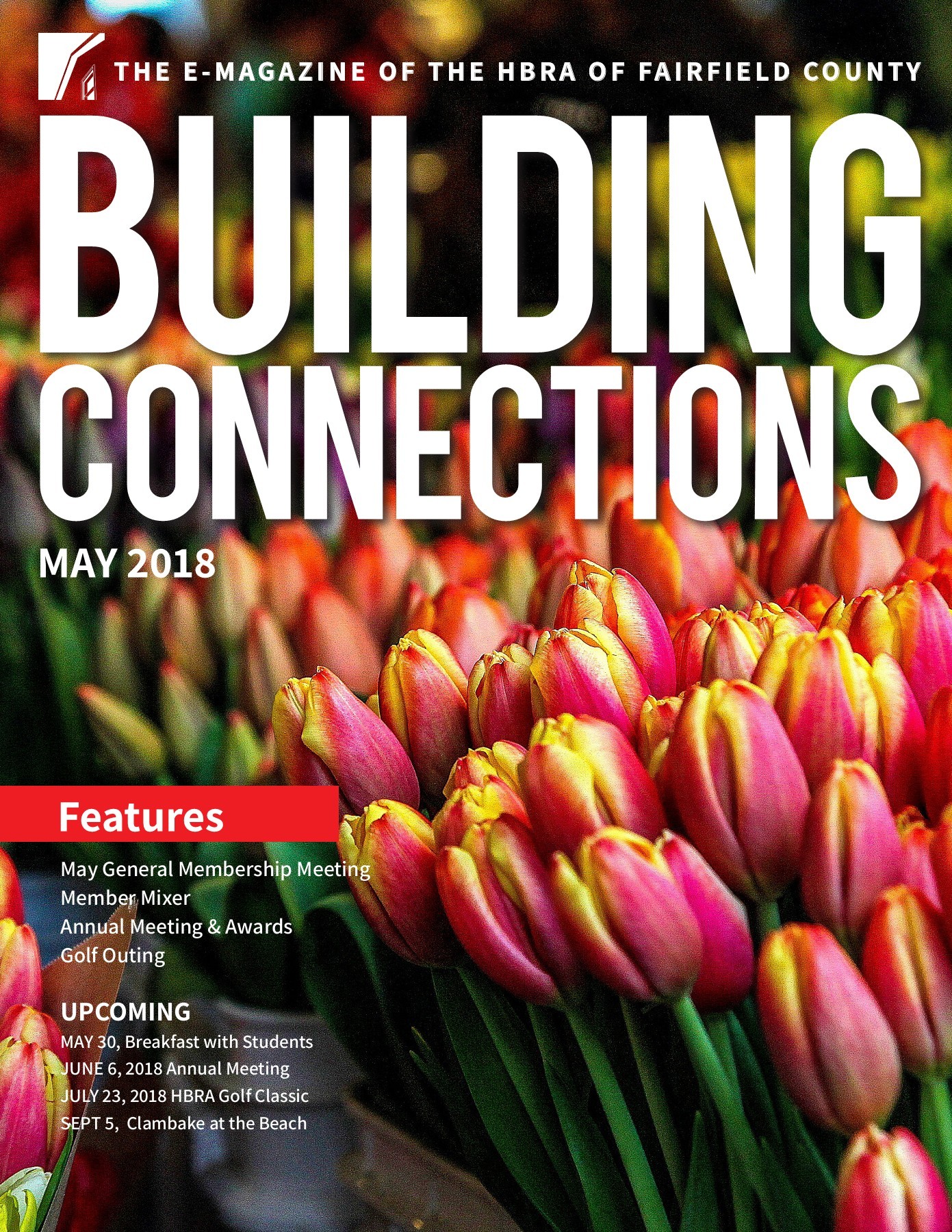 May 2018 Building Connections - clare - Page 1 - 34 | Flip PDF Online ...