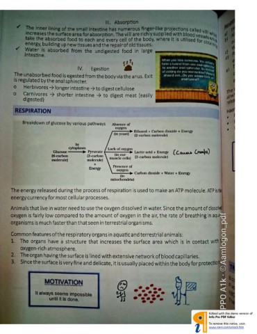 BKP Cheat Sheet Science Class 10 - Utkarsh Saxena - Page 42 | Flip PDF ...