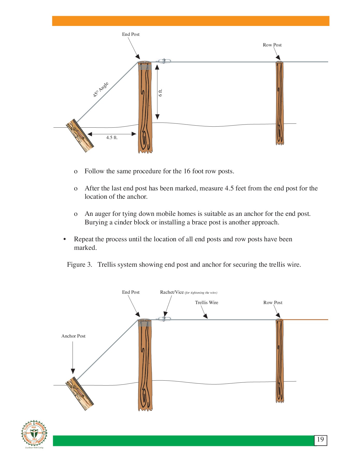 FAMU-Viticulture-Production-Guide-for-Muscadines - yanwen wu - Page 20 ...