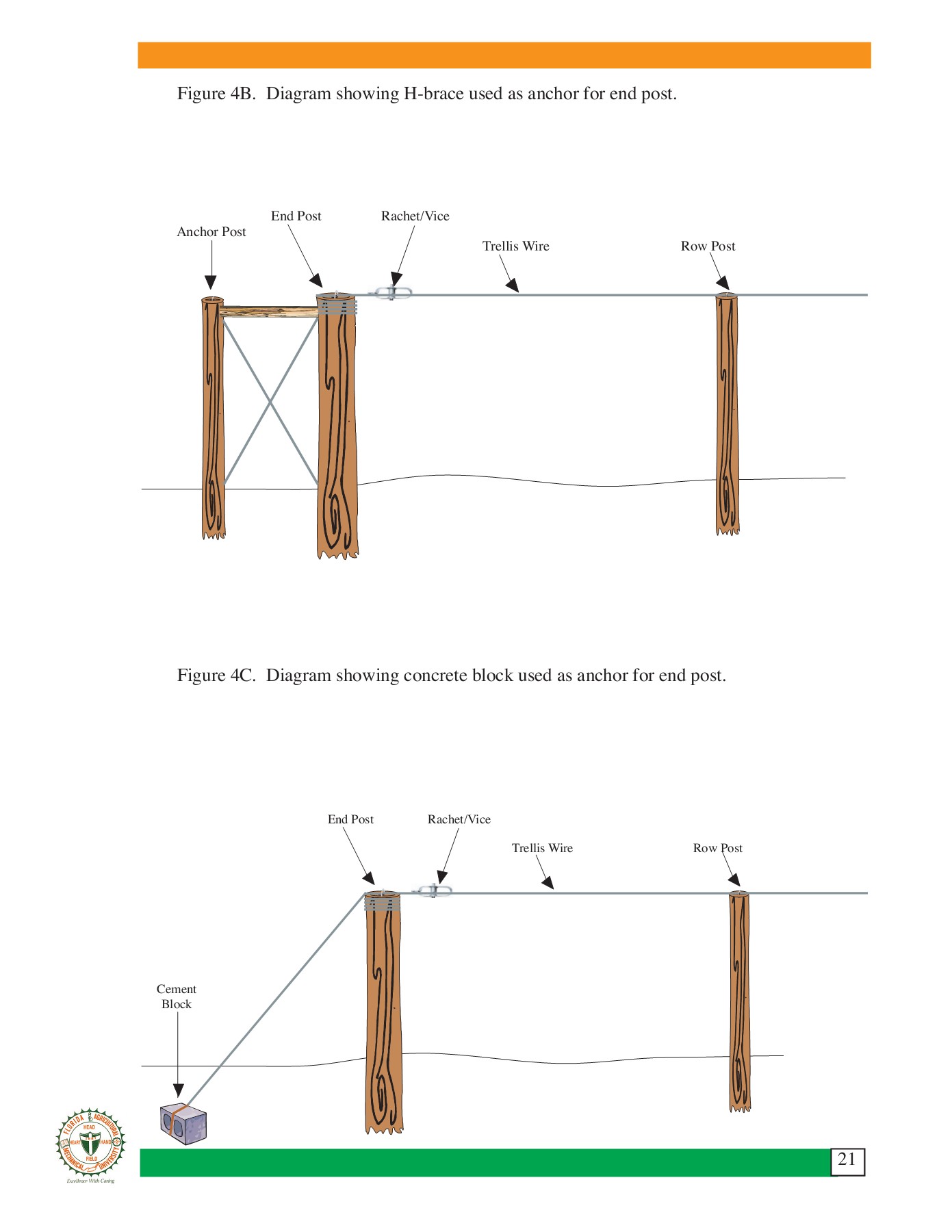 FAMU-Viticulture-Production-Guide-for-Muscadines - yanwen wu - Page 22 ...