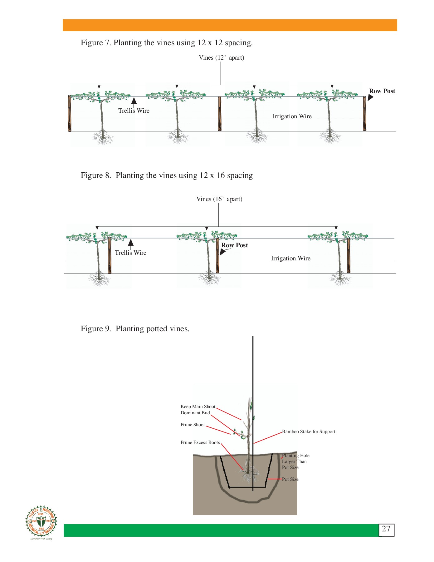 FAMU-Viticulture-Production-Guide-for-Muscadines - yanwen wu - Page 28 ...