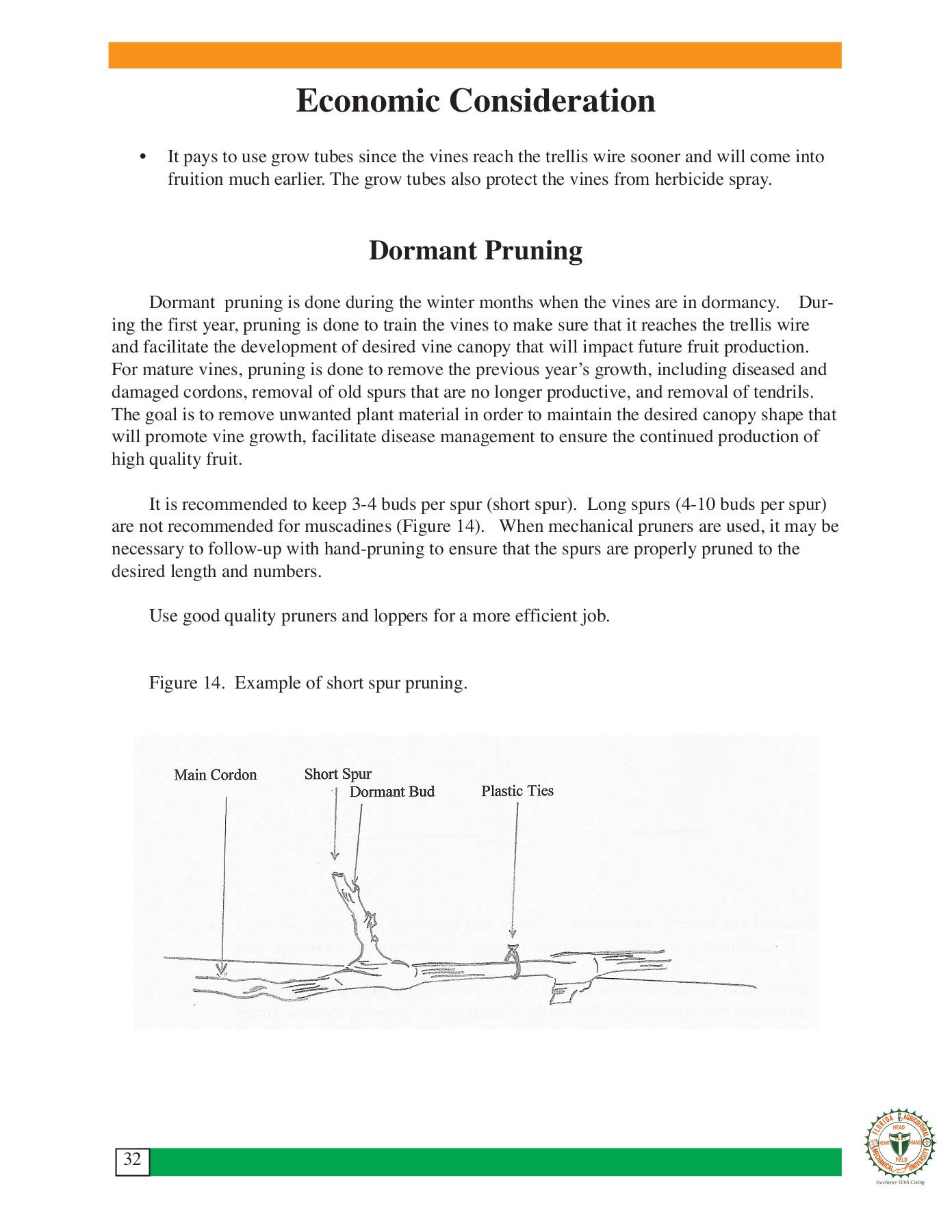 FAMU-Viticulture-Production-Guide-for-Muscadines - yanwen wu - Page 33 ...