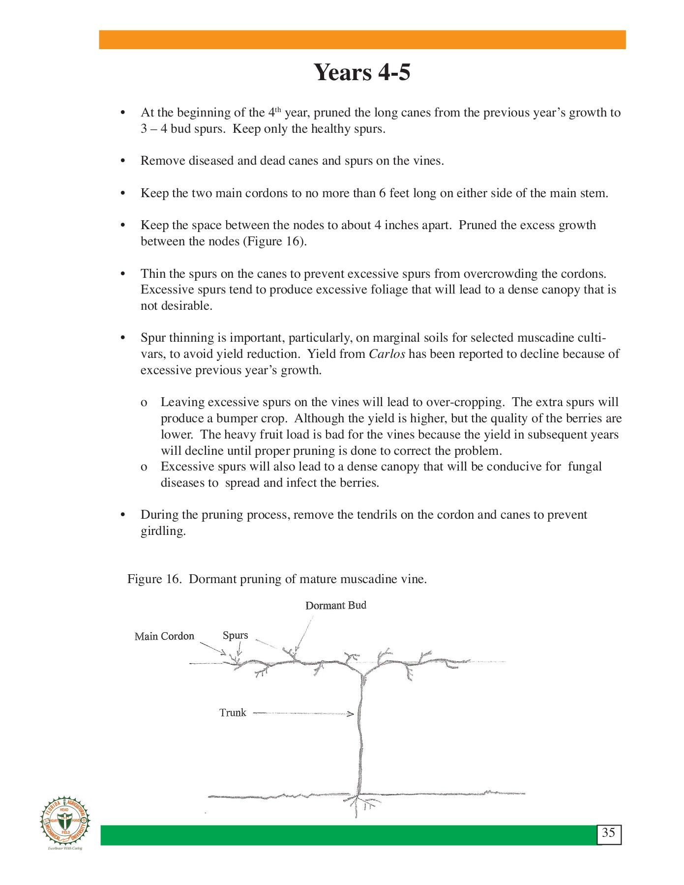 FAMU-Viticulture-Production-Guide-for-Muscadines - yanwen wu - Page 36 ...