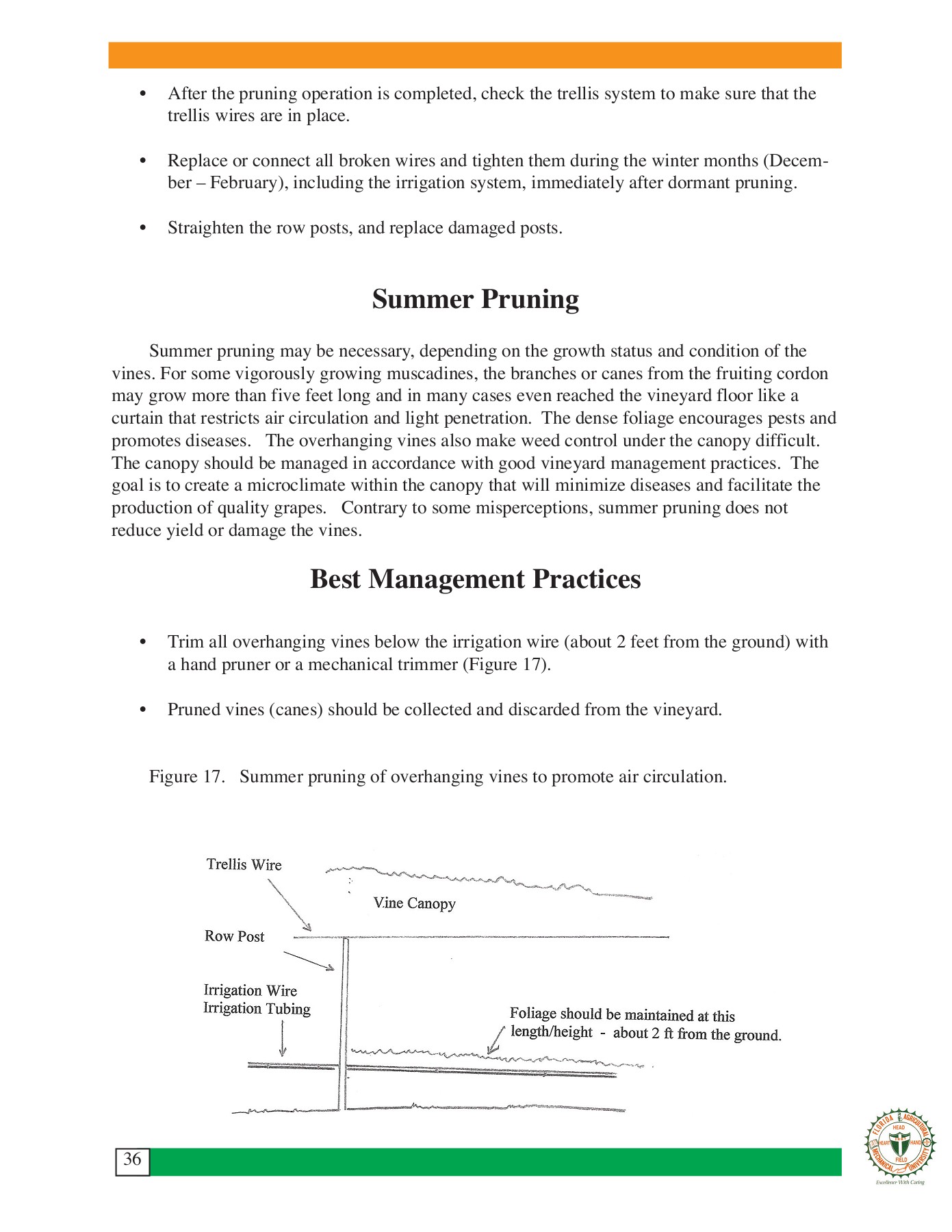 FAMU-Viticulture-Production-Guide-for-Muscadines - yanwen wu - Page 37 ...