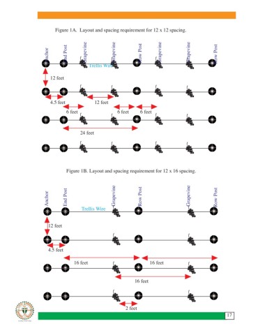 FAMU-Viticulture-Production-Guide-for-Muscadines - yanwen wu - Page 18 ...
