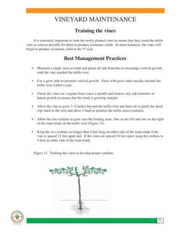 FAMU-Viticulture-Production-Guide-for-Muscadines - yanwen wu - Page 32 ...