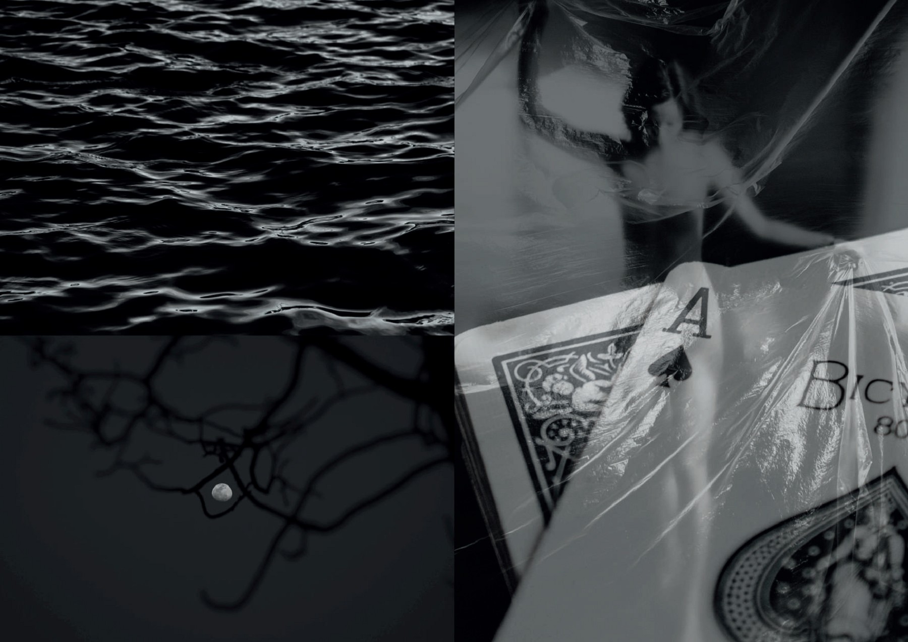 AV SEASON 2 - danield - Page 3 | Flip PDF Online | PubHTML5