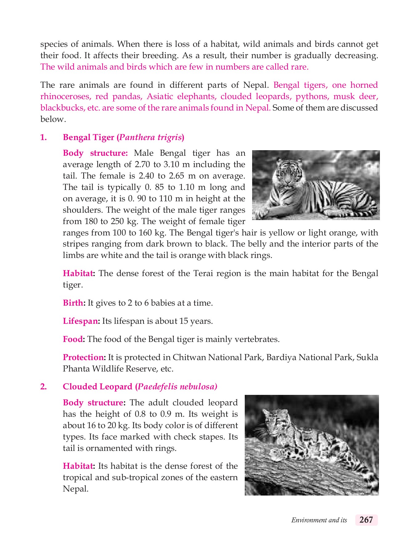 SCIENCE - asakriyakc - Page 271 | Flip PDF Online | PubHTML5