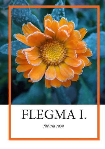 Flegma, december 2021 - alojz.roter - Strani 1 - 74 | Obračanje strani ...