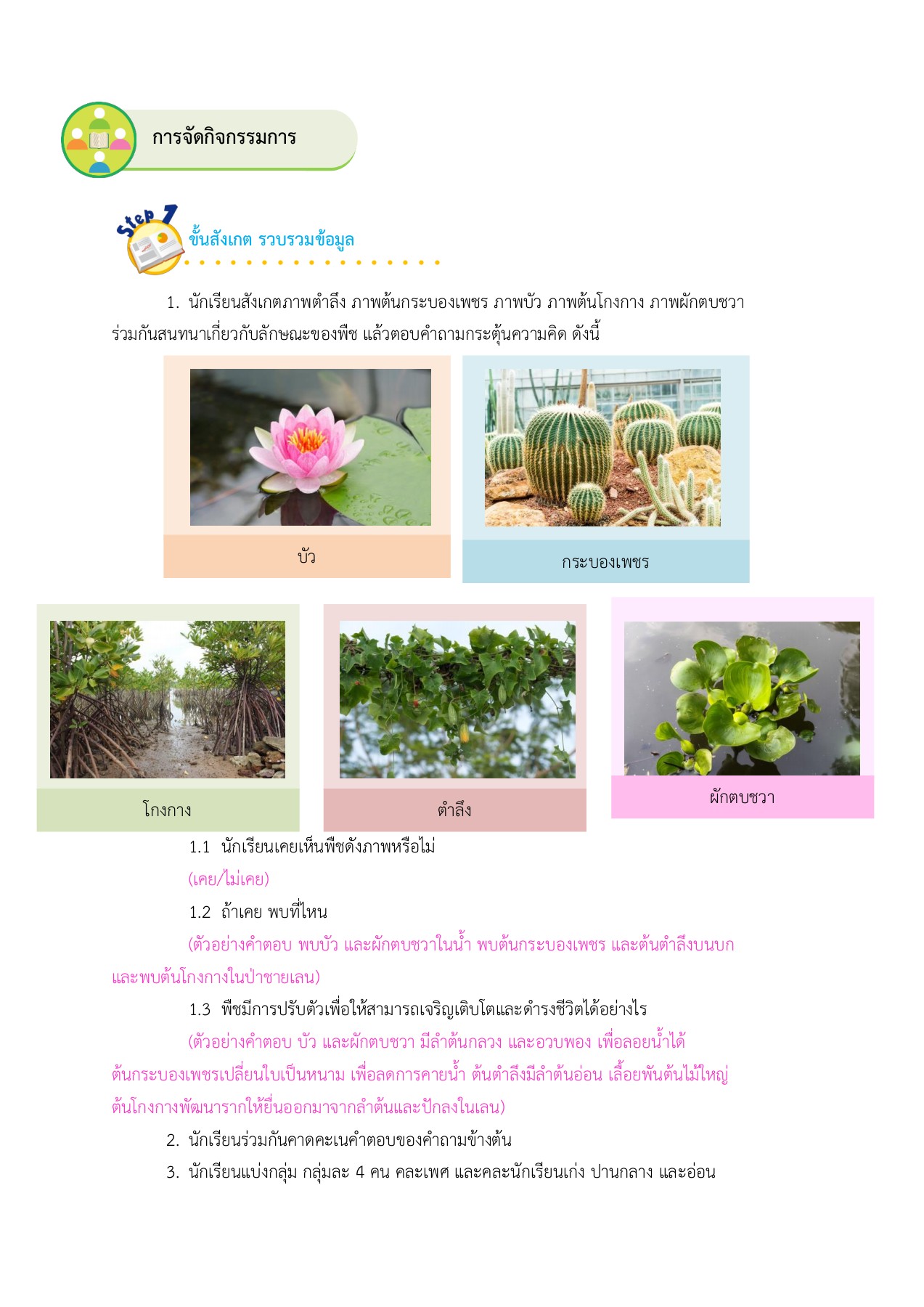 แผนการจัดการเรียนรู้ - nokyoong_biibi - หน้าหนังสือ 36 | พลิก PDF ...