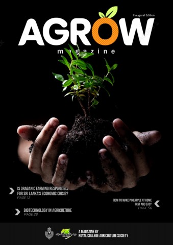 Agrow Magazine - Minsara Wijesinghe - Page 65 | Flip PDF Online | PubHTML5