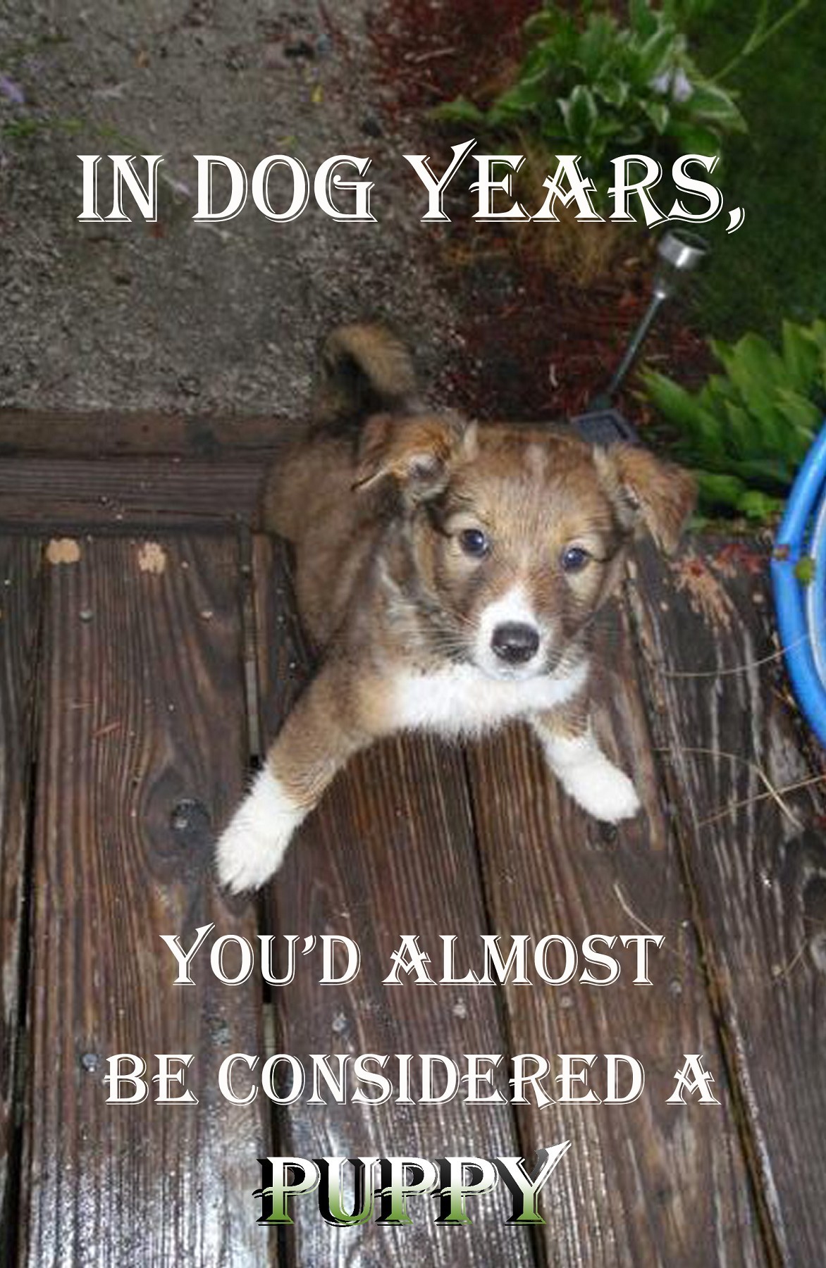 Binder1 - drumr83 - Página 1 - 4 | PDF Online | PubHTML5