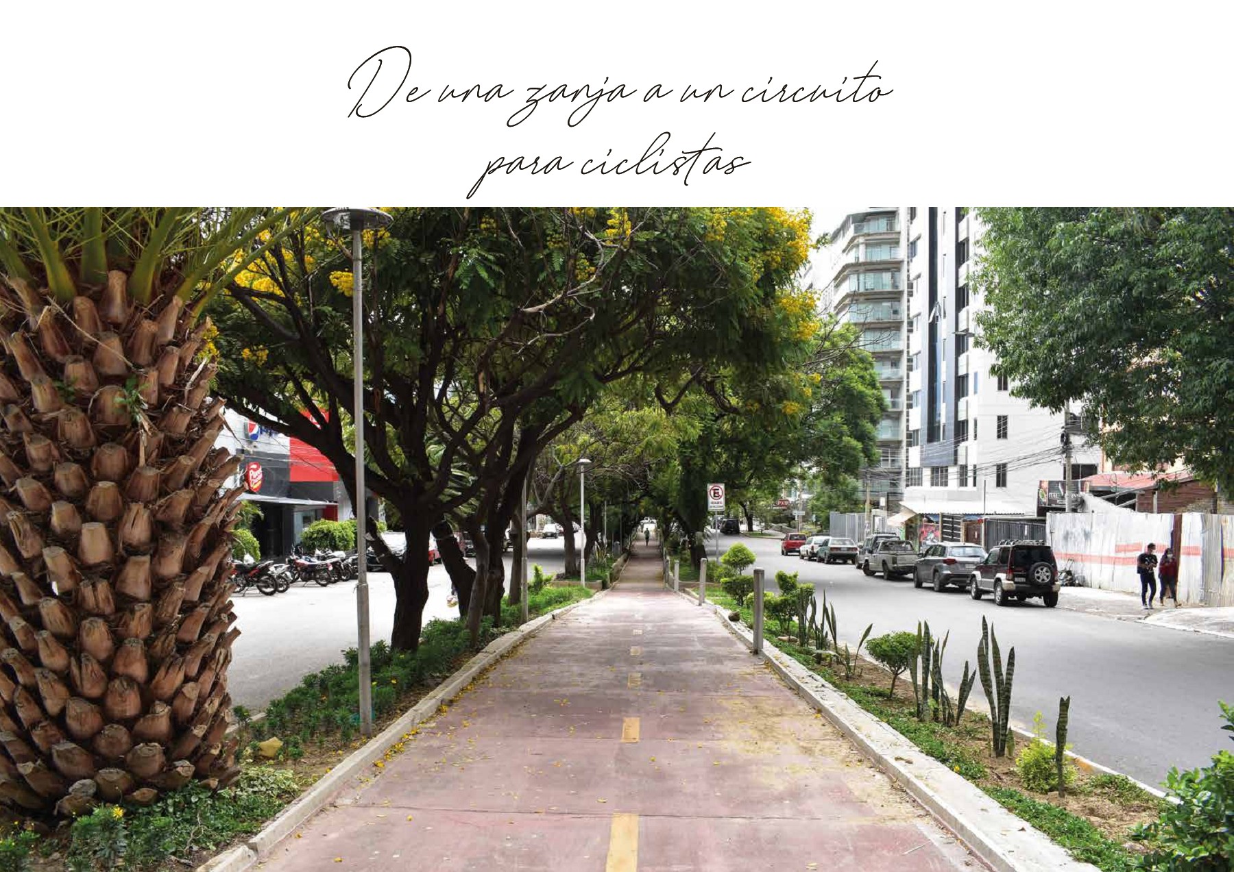 flip final - CBN - Page 338 | Flip PDF Online | PubHTML5