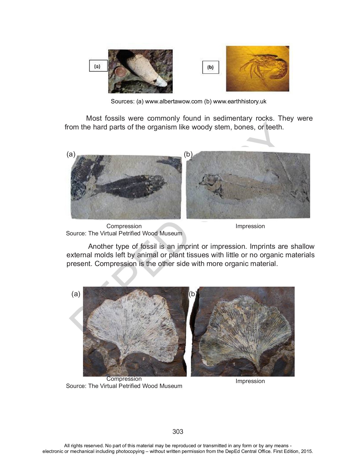 Science Grade 10 Part 1 - Palawan BlogOn - Page 318 | Flip PDF Online ...